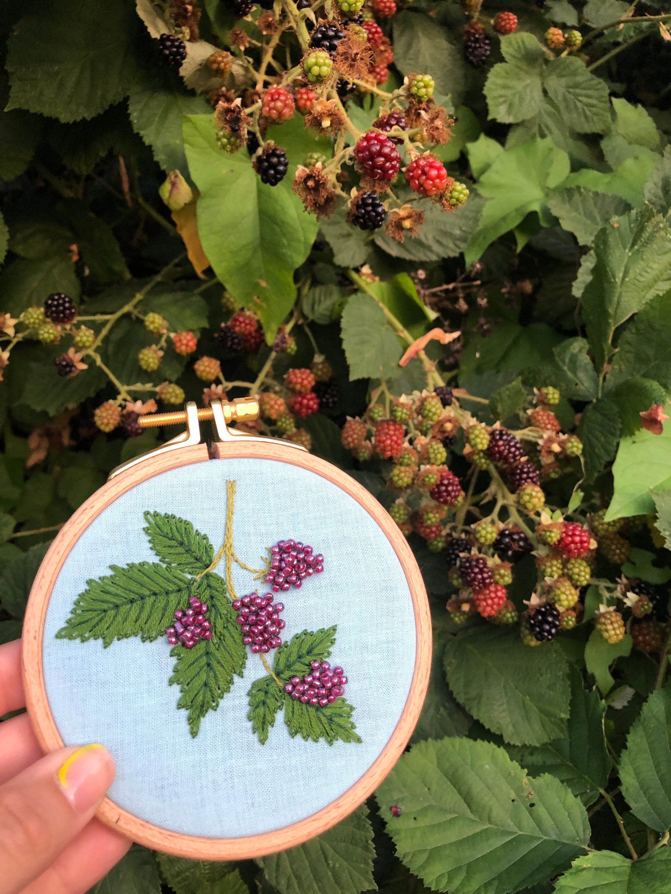 Beaded Berries Botanicals Embroidery Kit for DIY & Beginners – MCreativeJ